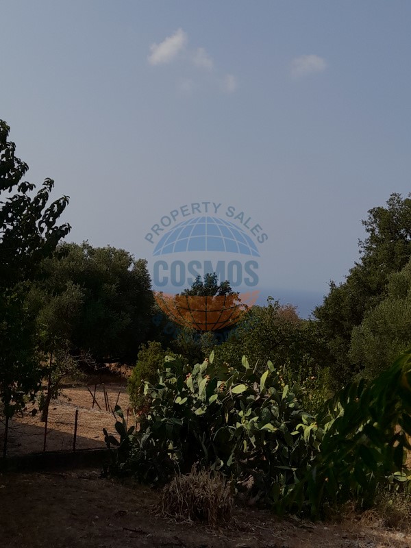 Cosmos Properties - Real Estate Agency, Kefalonia